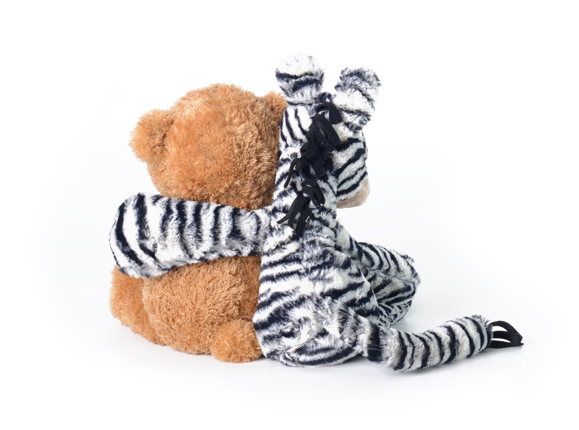 About — Zebra Centre