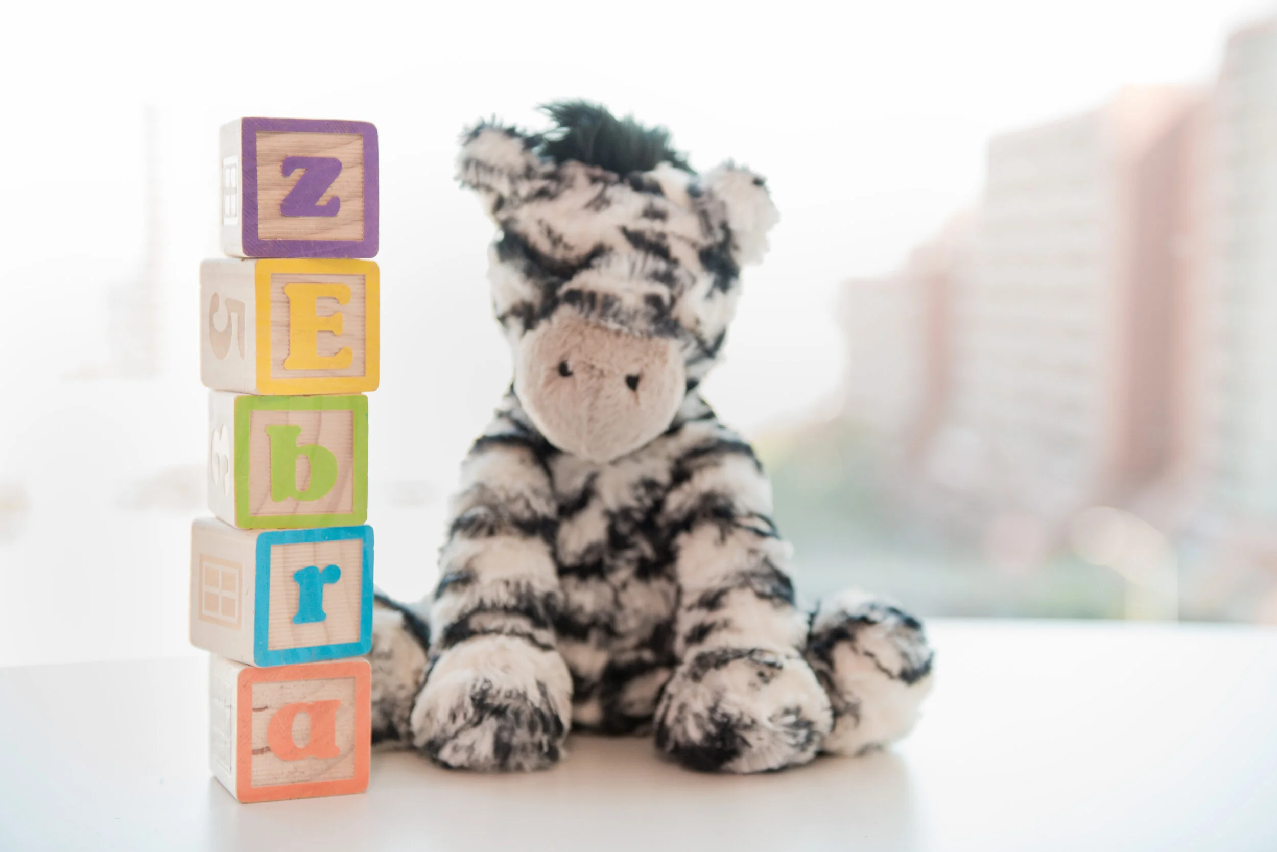 Events — Zebra Centre