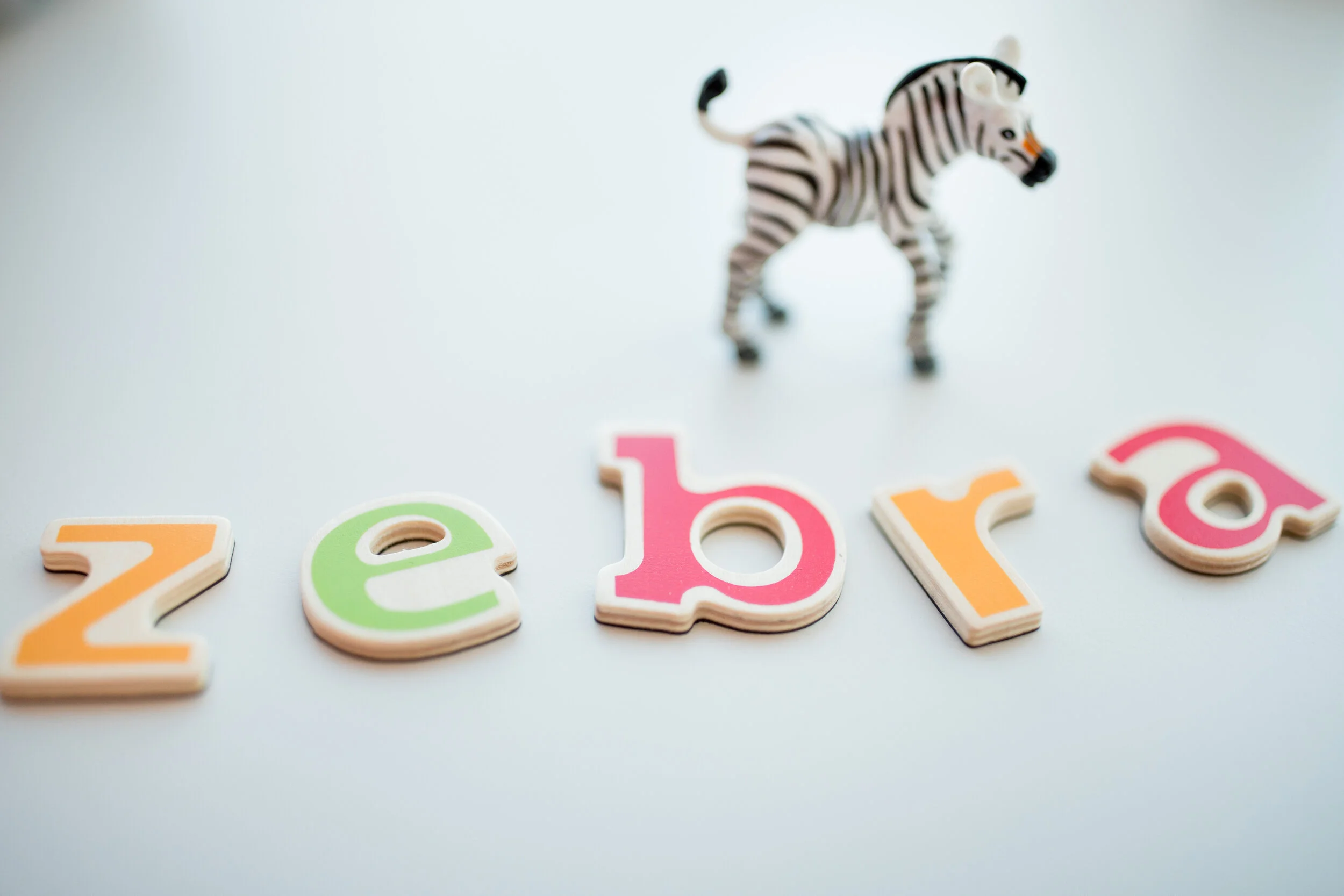 Sean Armstrong — Zebra Centre