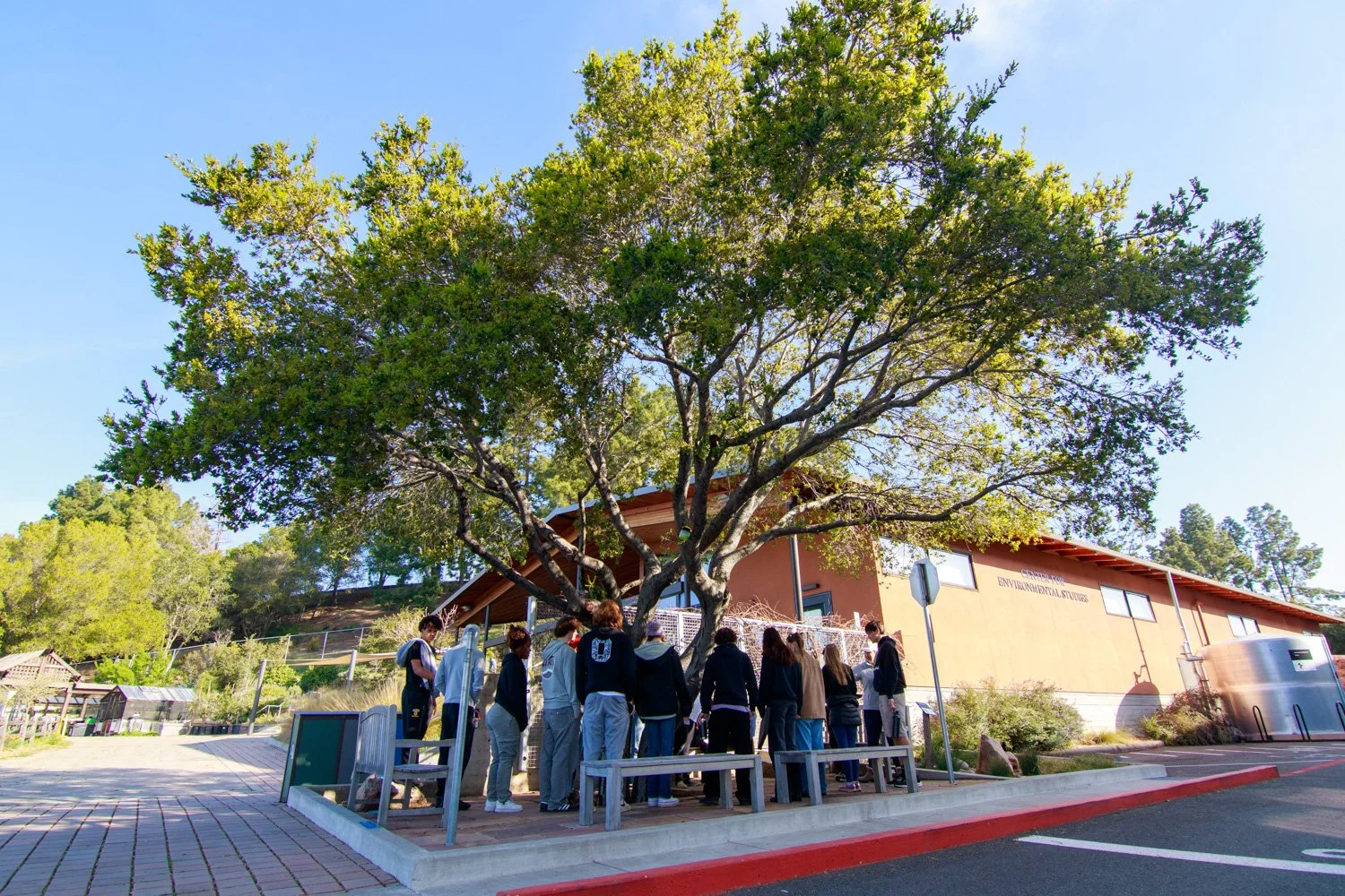 High School Forest Lessons — Green Schoolyards America