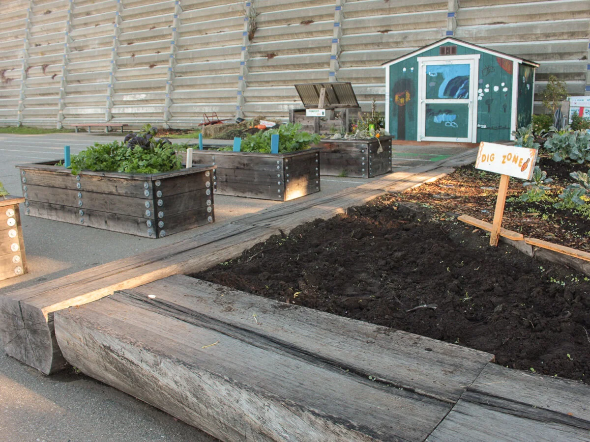 Schoolyard Design and Infrastructure — National COVID-19 Outdoor ...