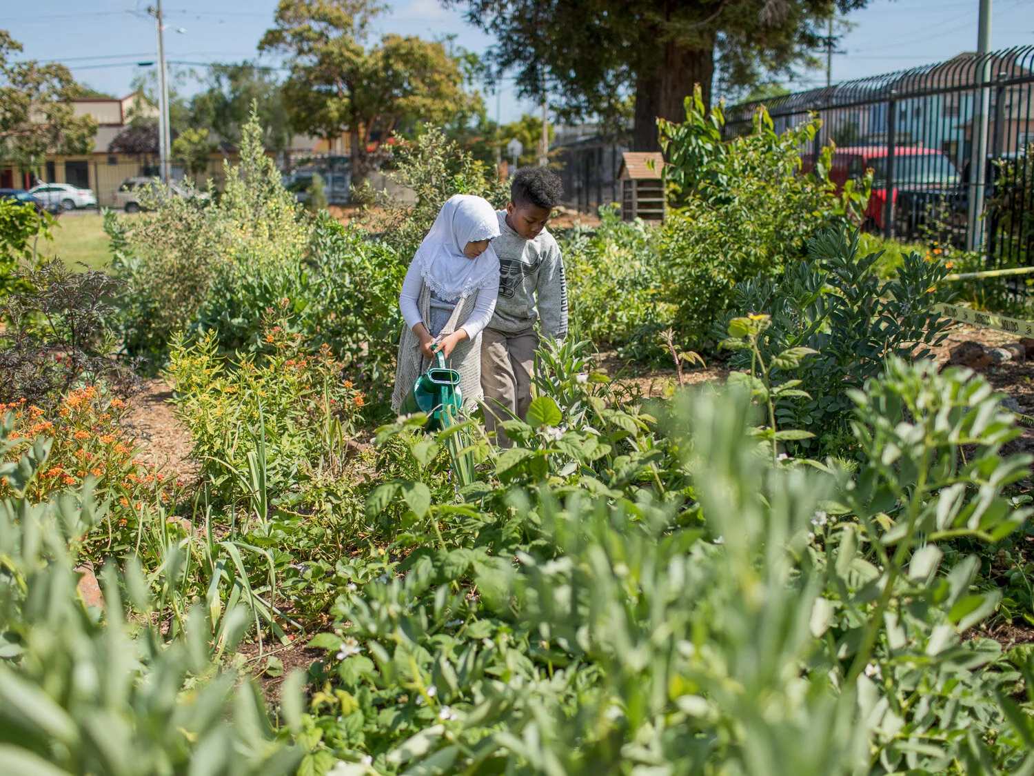 Schoolyard Design and Infrastructure — National COVID-19 Outdoor ...