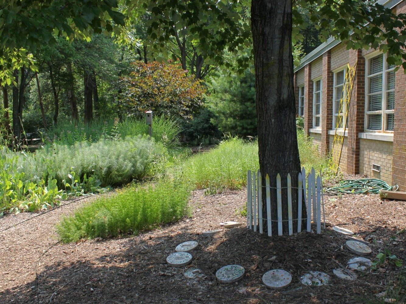 Mid-Atlantic Plants for Schoolyards — Green Schoolyards America