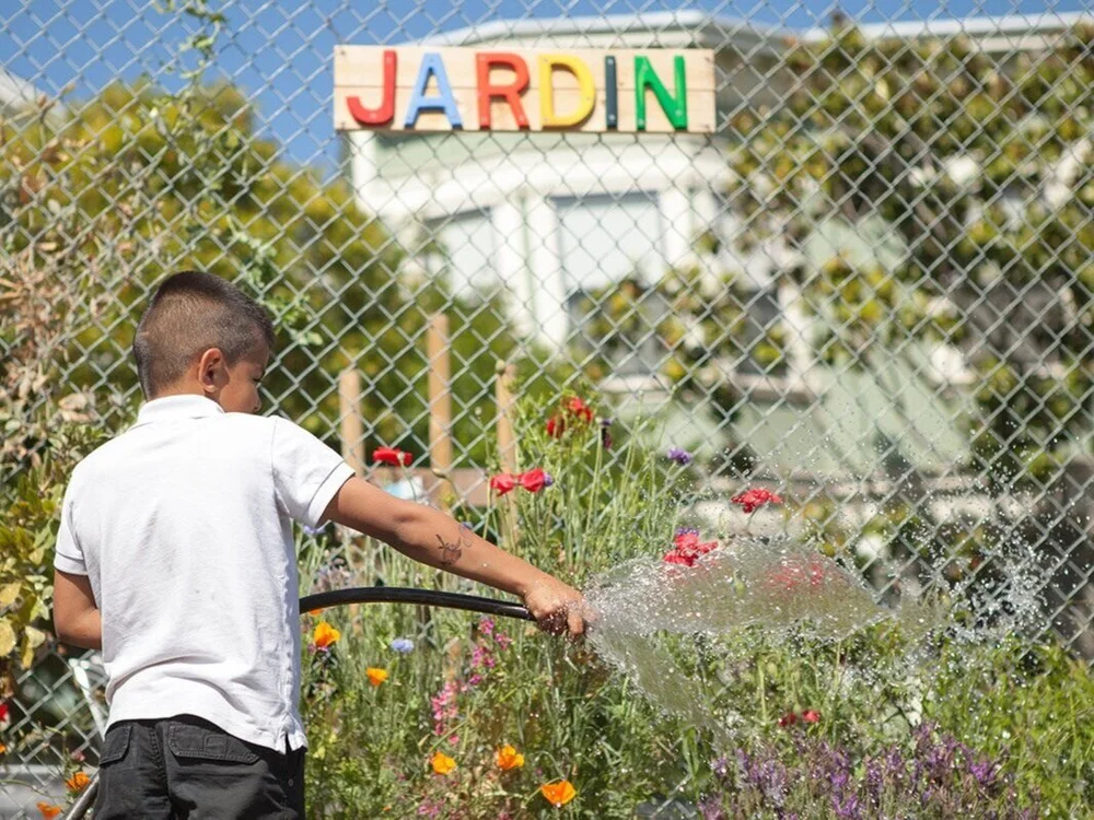 School Gardens — National COVID-19 Outdoor Learning Initiative — Green ...