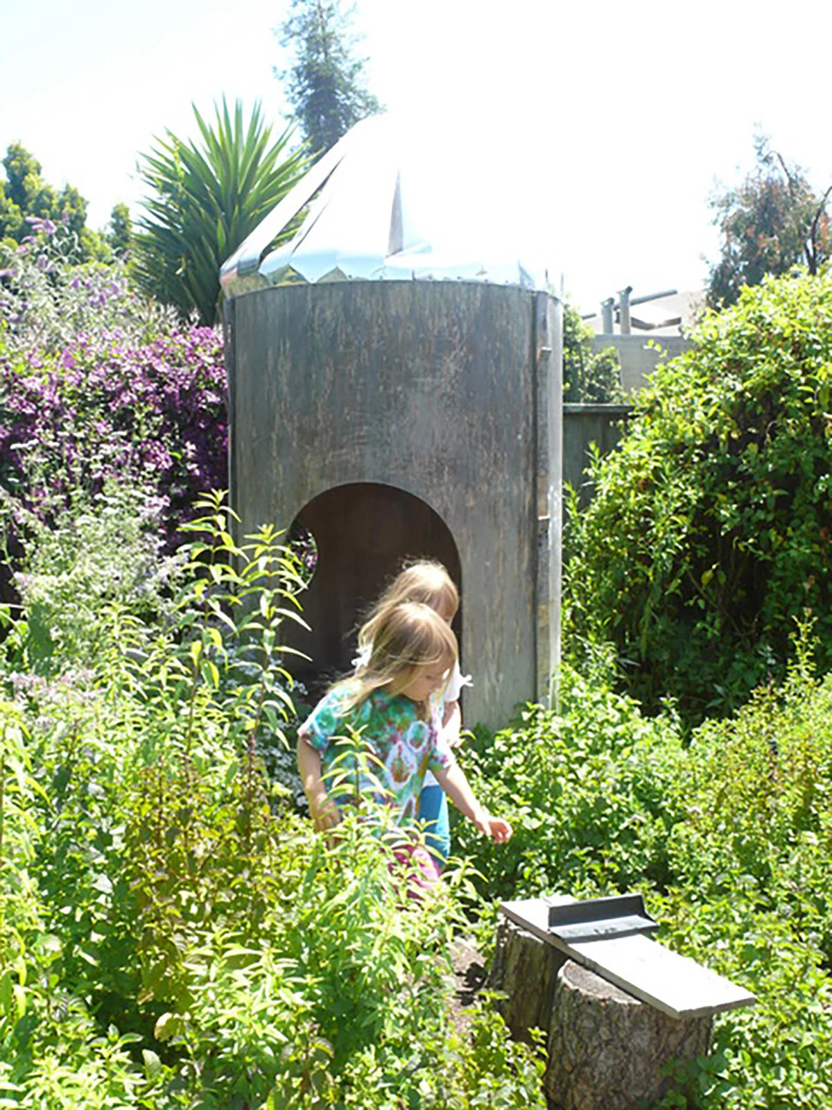 Plants for Outdoor Learning and Play — Green Schoolyards America