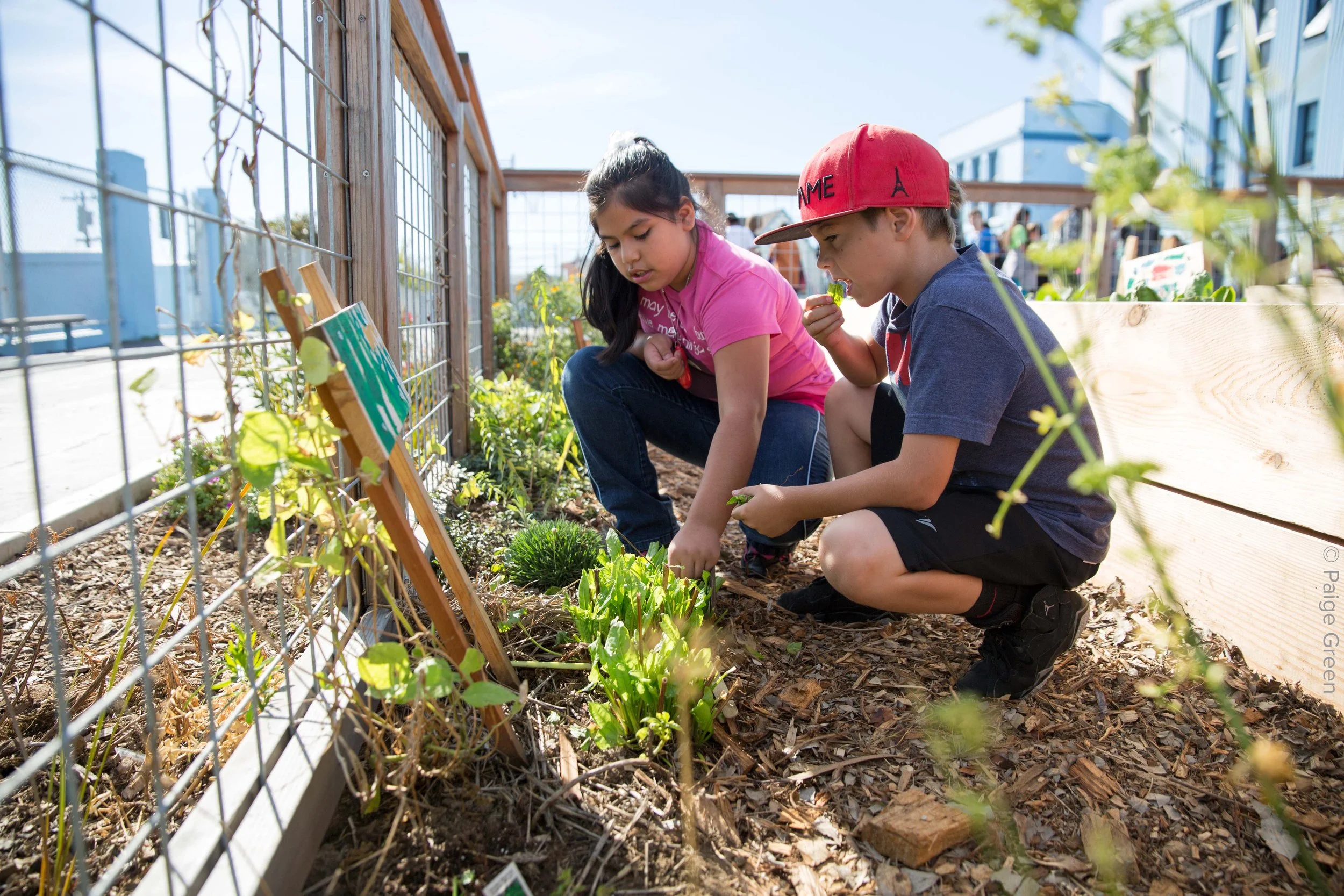 Our Mission — Green Schoolyards America