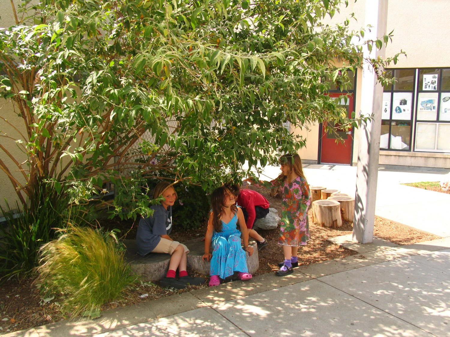 Benefits of Schoolyard Forests — Green Schoolyards America
