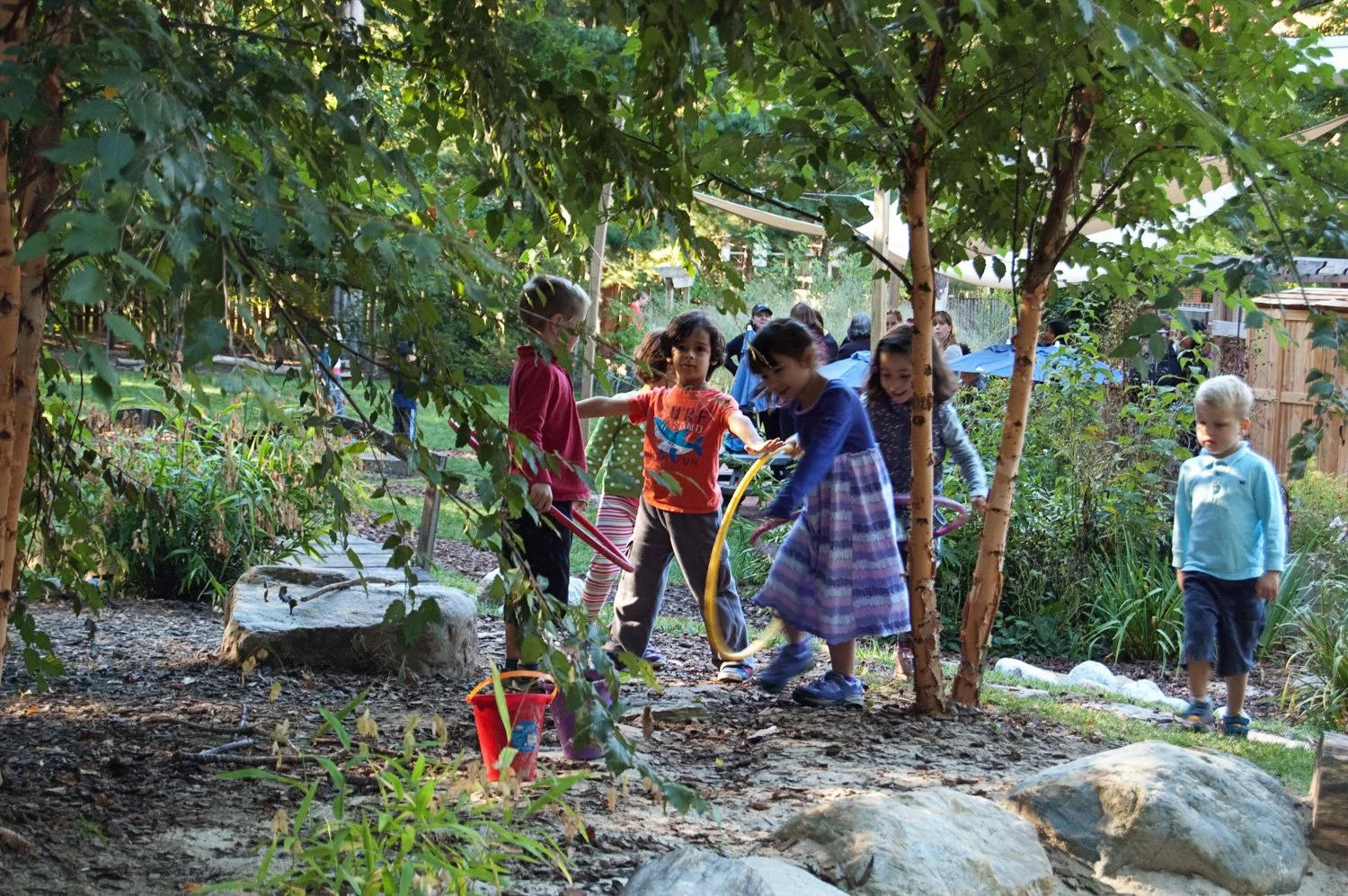 Schoolyard Forest Design Lecture Series — Green Schoolyards America