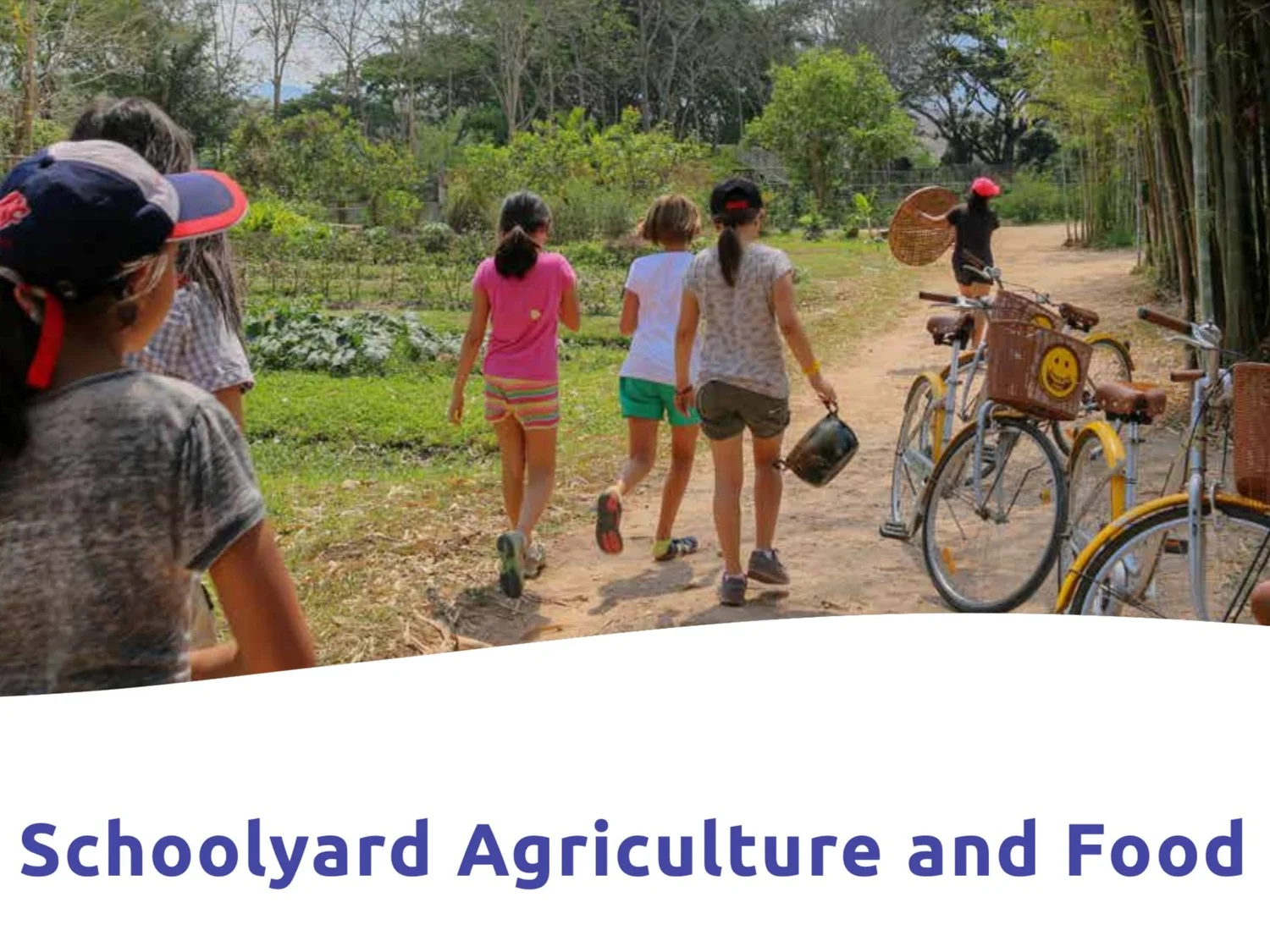 School Gardens — National COVID-19 Outdoor Learning Initiative — Green ...