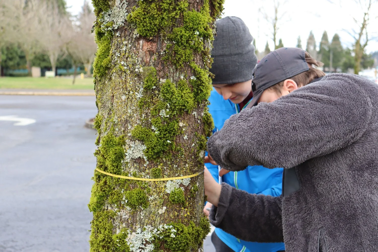 High School Forest Lessons — Green Schoolyards America