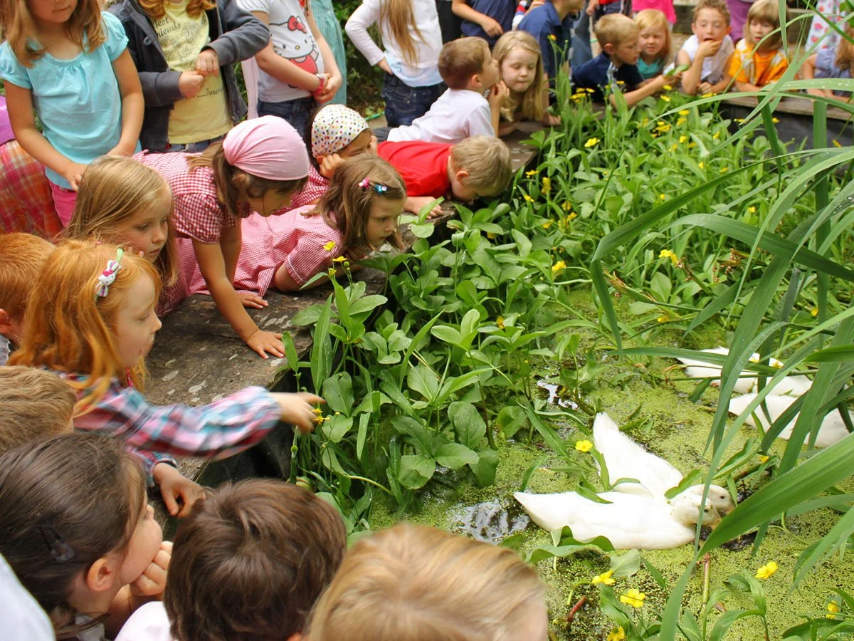 living school grounds — Green Schoolyards America