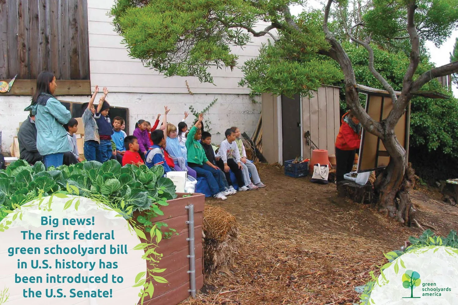 The Living Schoolyards Act of 2022 grants a greener future for our ...