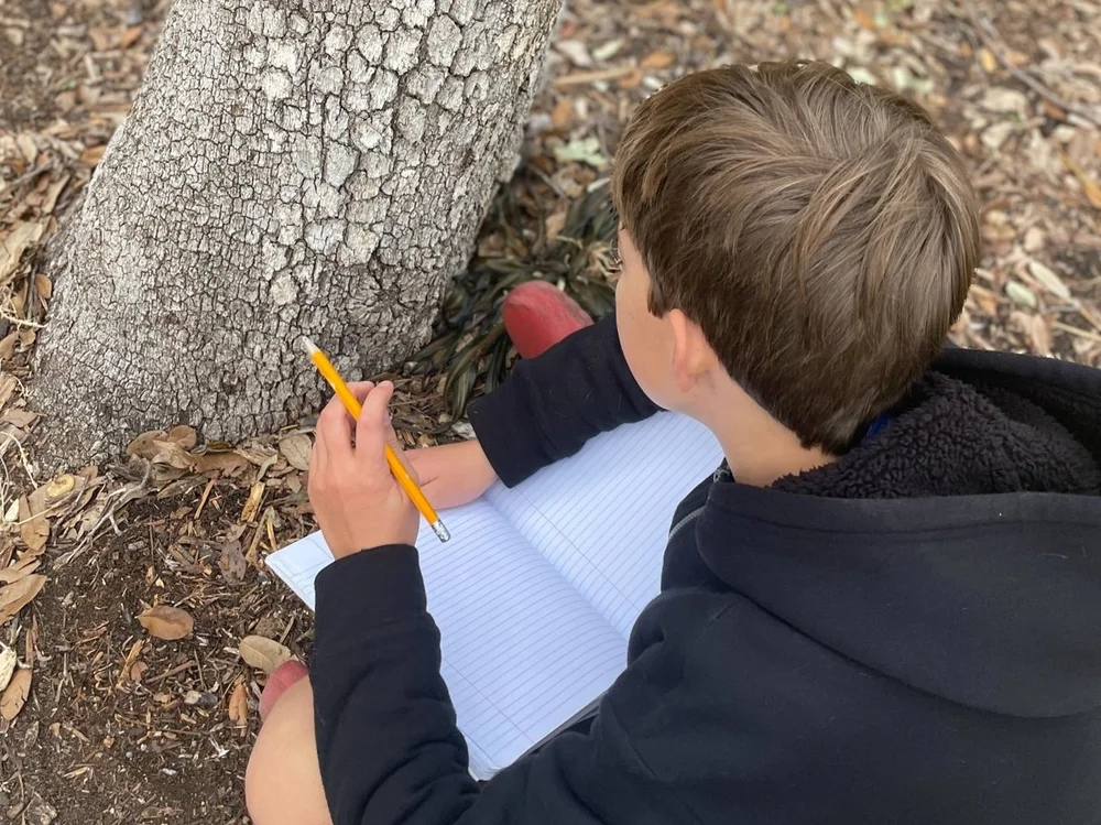 Adopt a Tree — Green Schoolyards America
