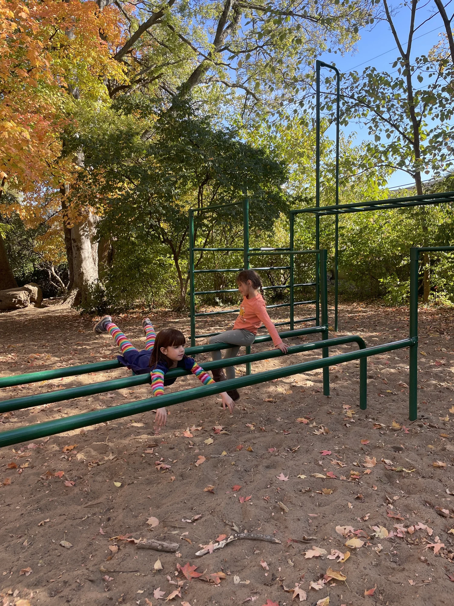 Our Mission — Green Schoolyards America