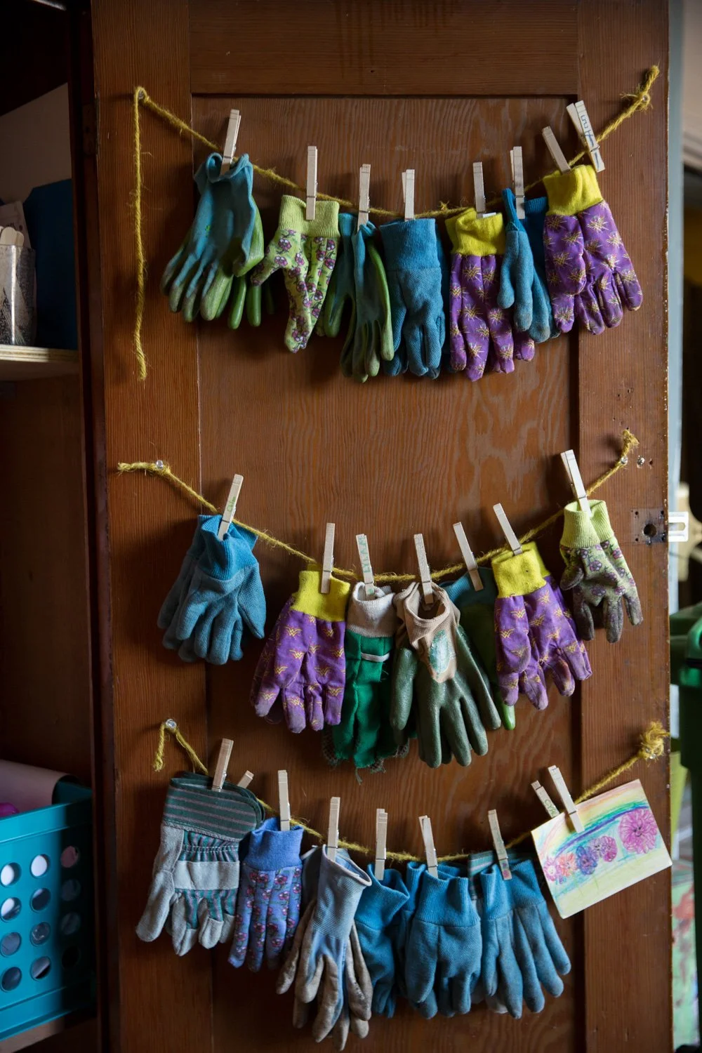 Stewardship Tasks with Students — Green Schoolyards America
