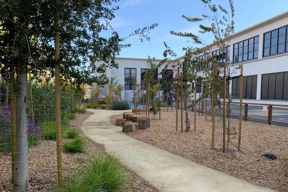 Schoolyard Forest Educator Resources — Green Schoolyards America