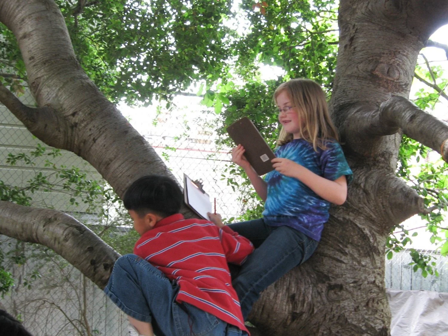 K-5 Forest Lessons — Green Schoolyards America