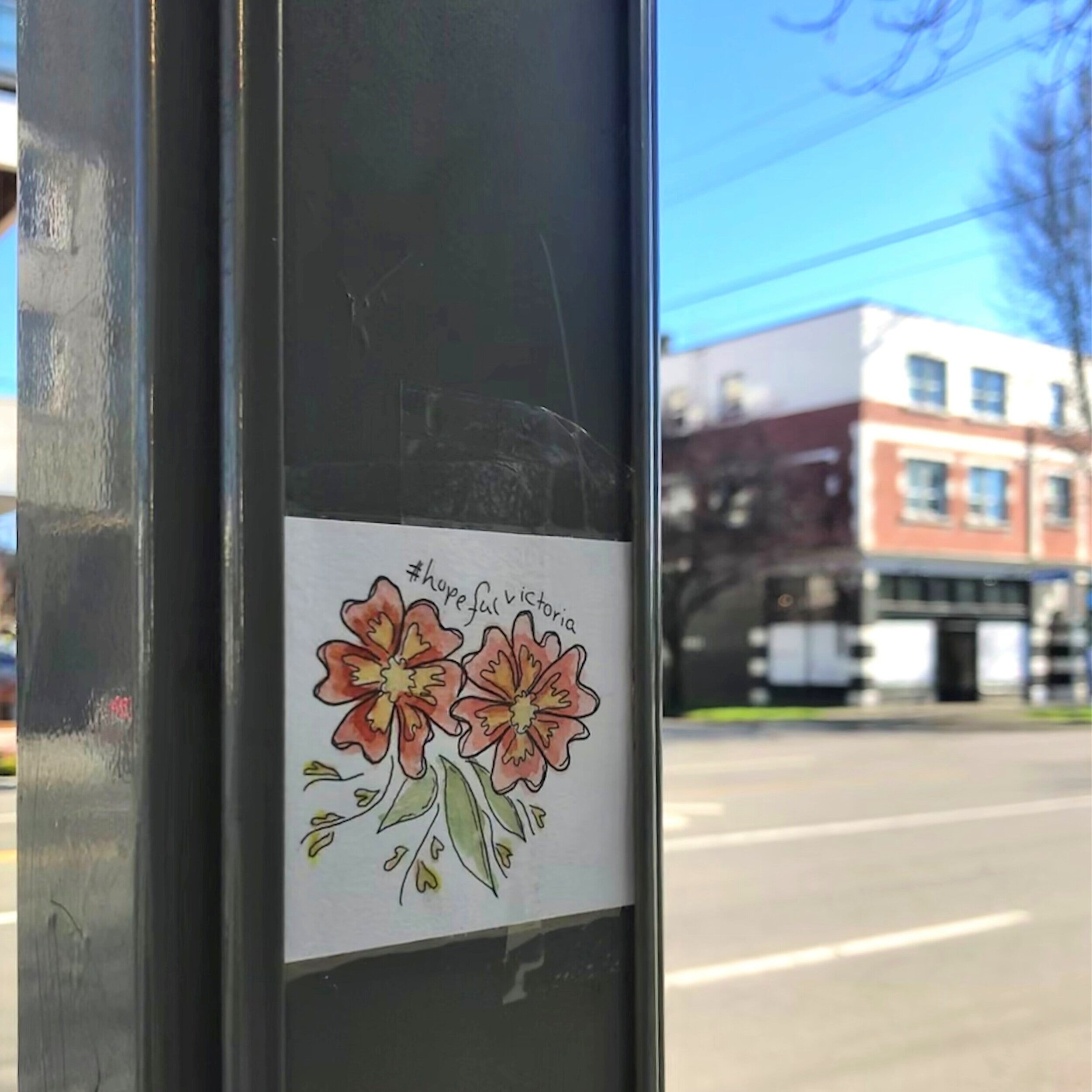 Shaw Centre for the Salish Sea — Hope in the Salish Sea: My Experience ...