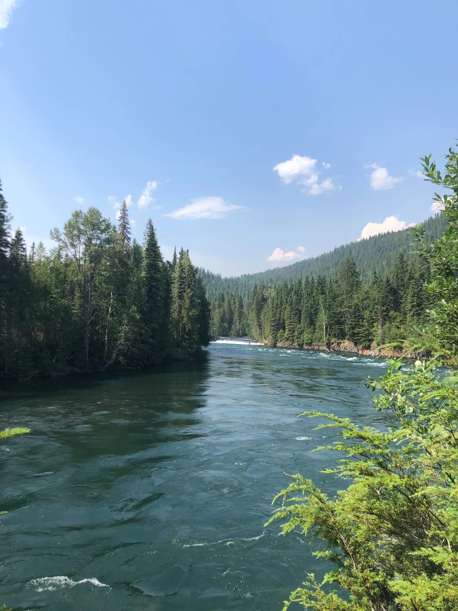 Shaw Centre for the Salish Sea — Watersheds: The Planet’s Circulatory ...