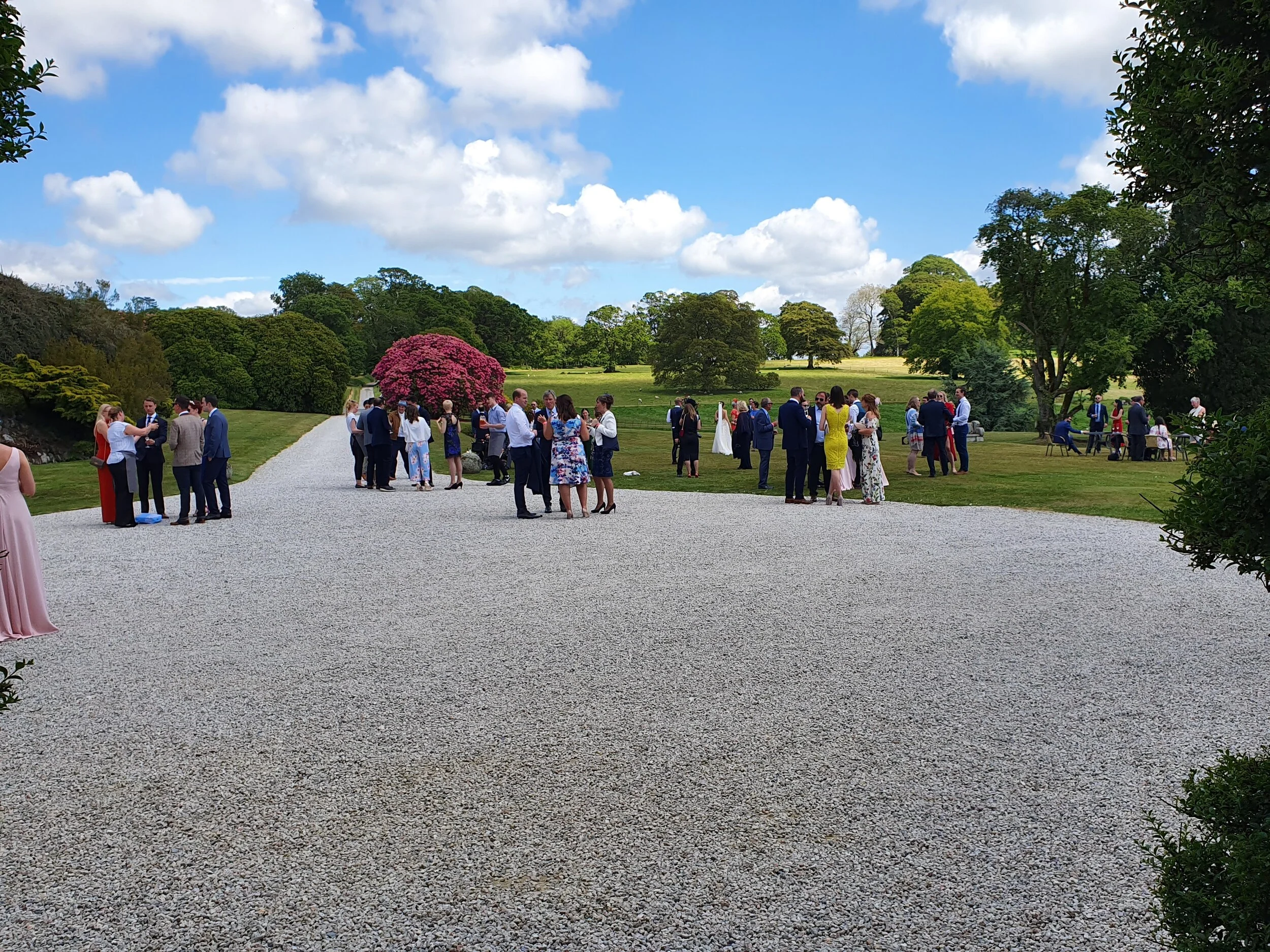 Luxury Wedding Caterers in Cornwall | Fego Food Co — custom menu
