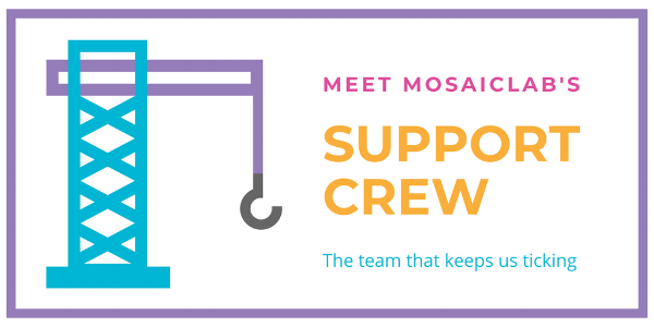 BEHIND EVERY GOOD TEAM ... — MosaicLab