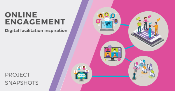 DIGITAL FACILITATION - MINI PROJECT SNAPSHOTS — MosaicLab