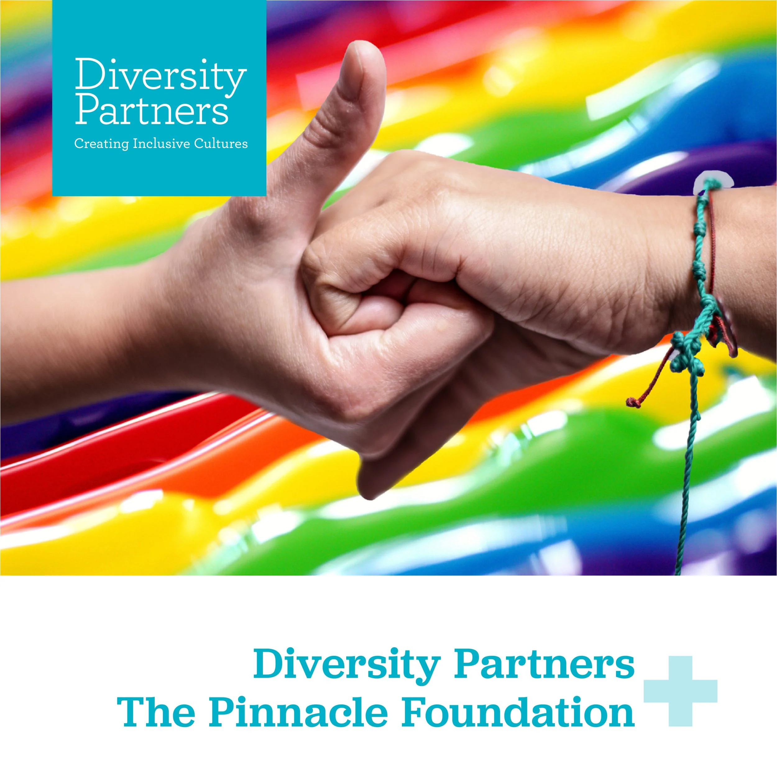 Diversity Partners