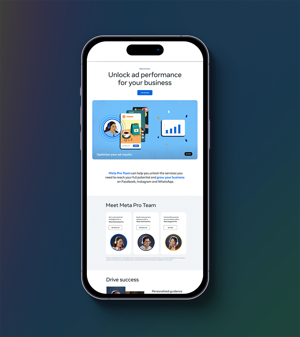 Meta: Meet Meta Pro Team — Dayoung's Portfolio