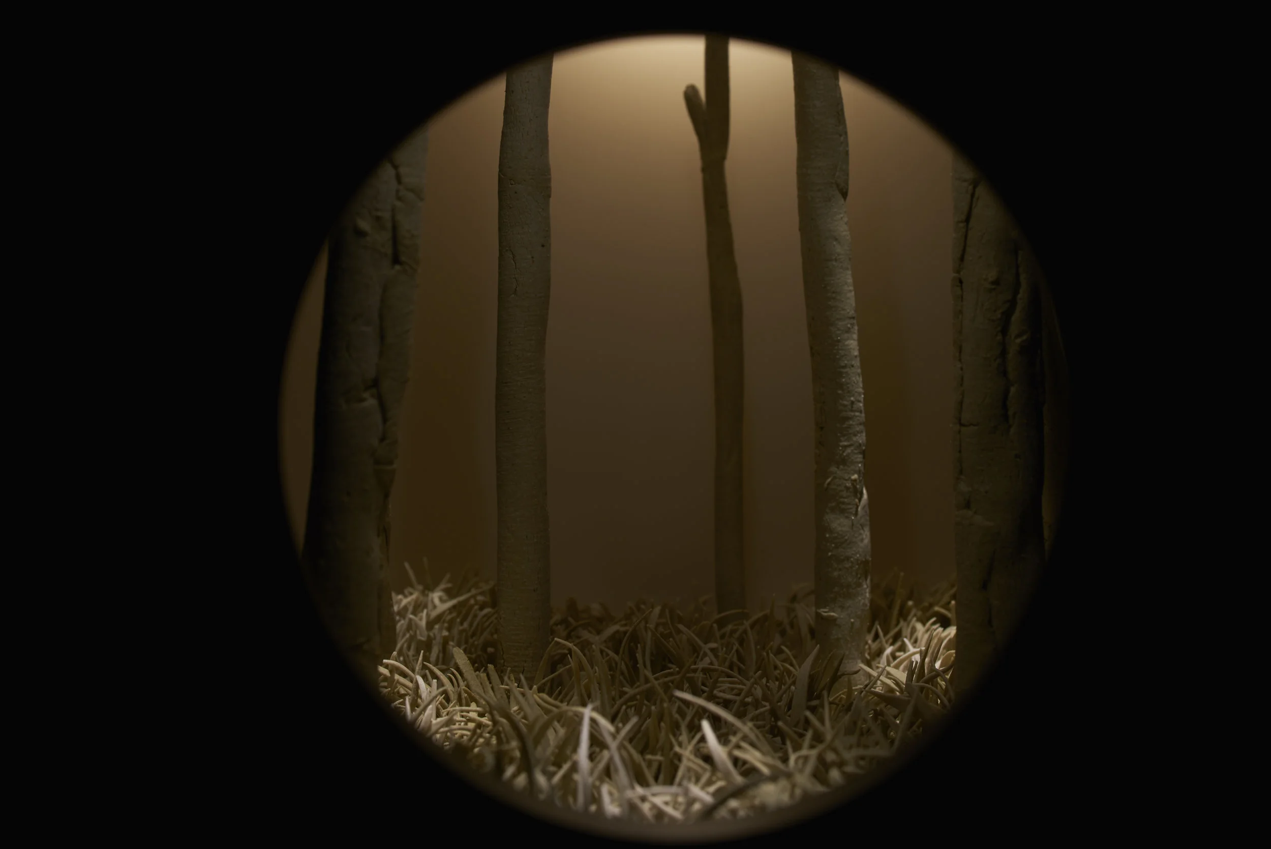 Peephole Boxes — Katie Spragg