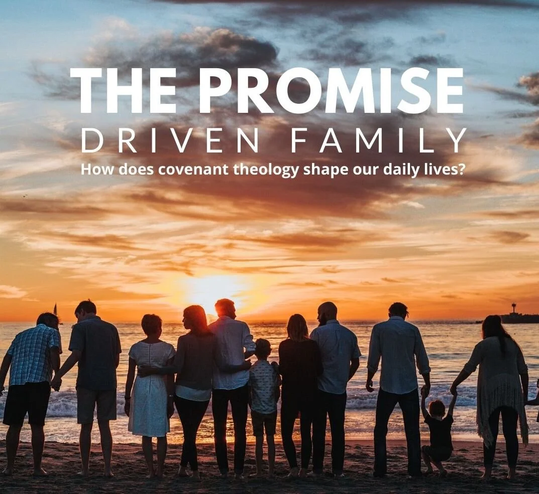 The Promise-Driven Family: how our covenant theology shapes our daily ...