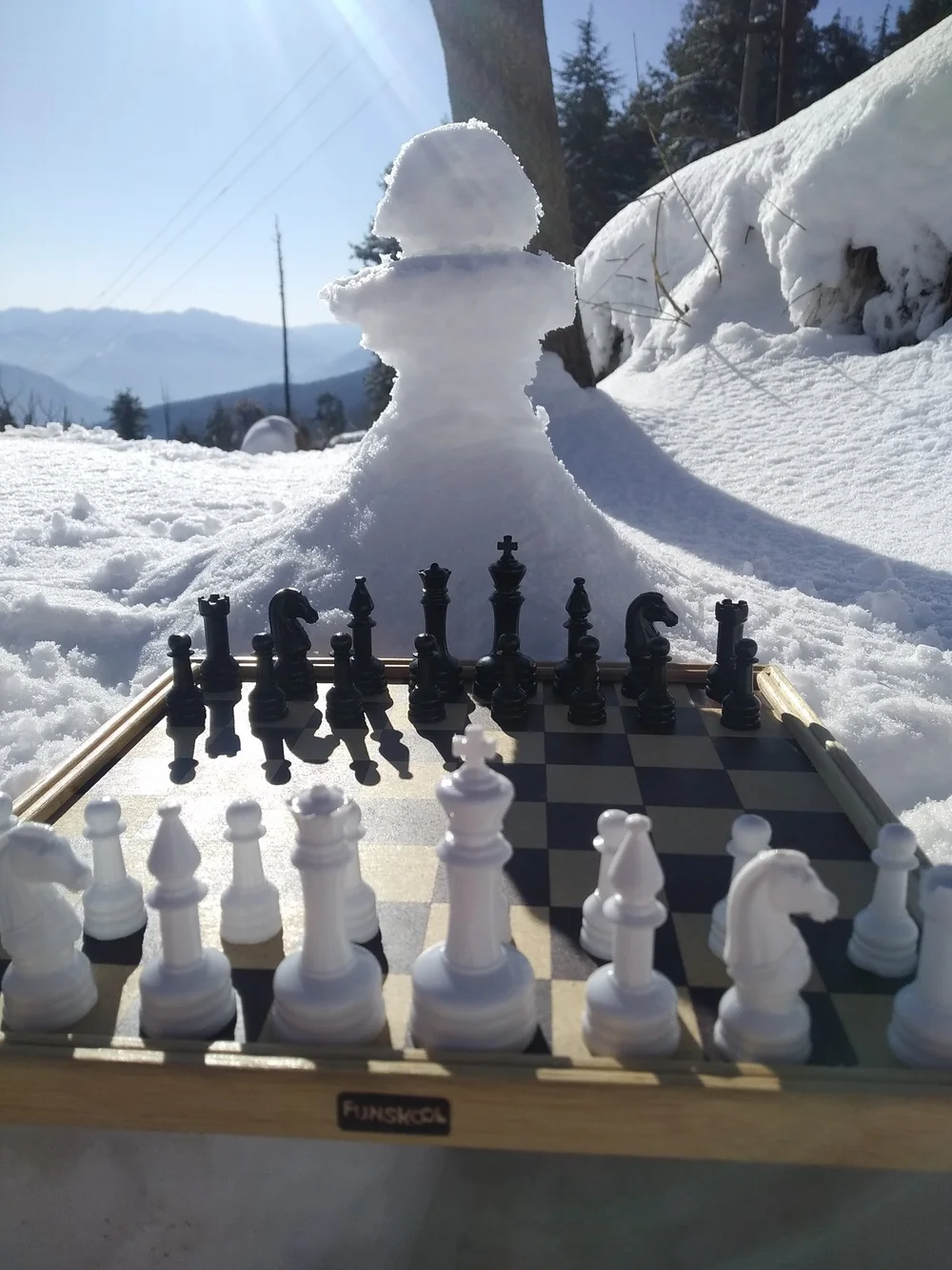 Snow Day Chess Camps — Impact Coaching Network