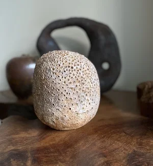 Gallery — Amy Dov Studio