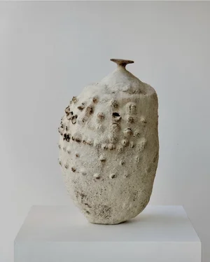 Gallery — Amy Dov Studio