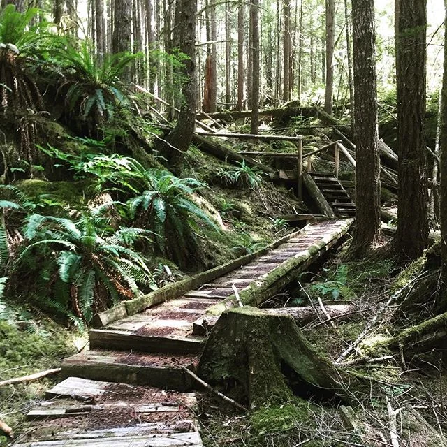 Mitchell's Canoe, Kayak & Stand Up Paddle Boards, Rentals and Sales