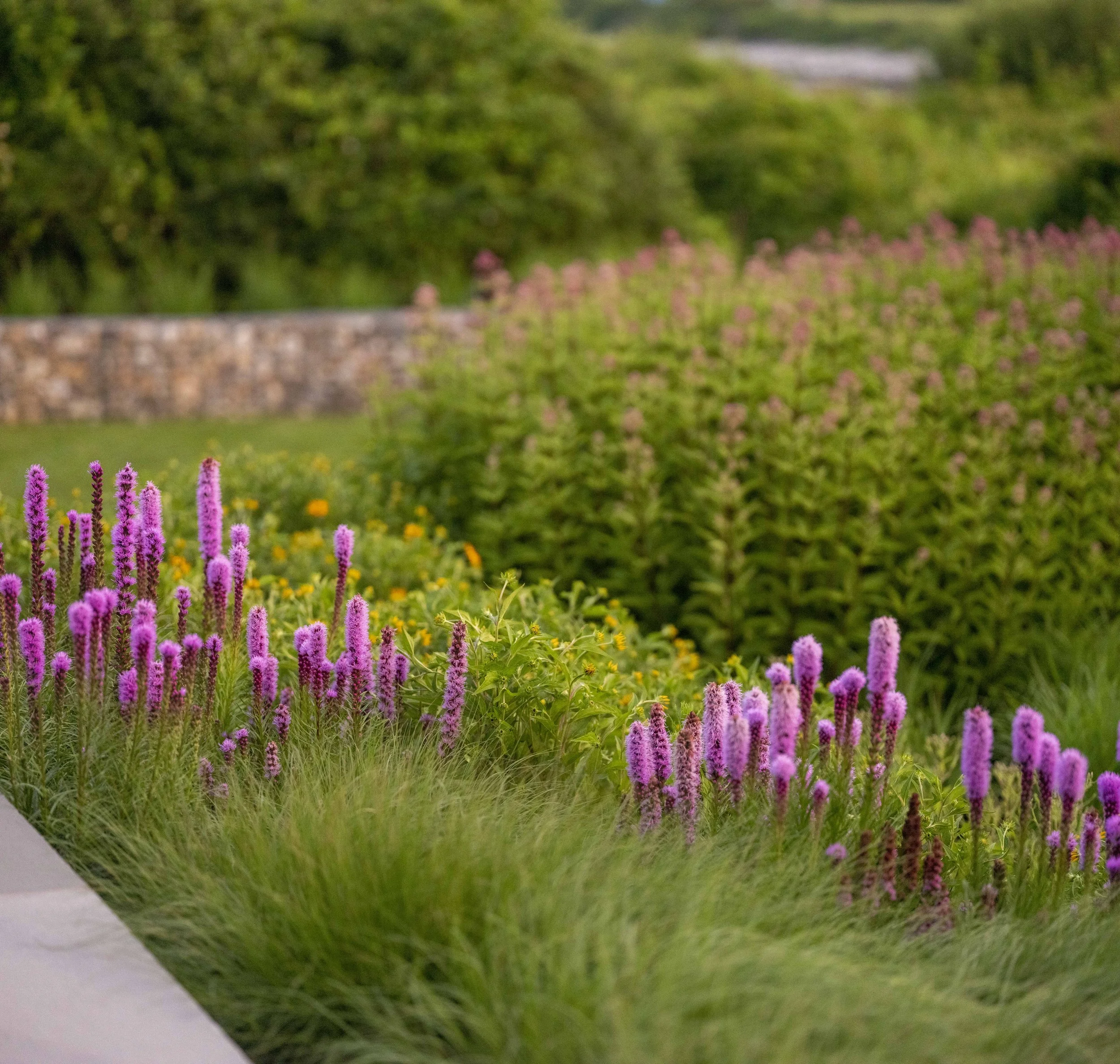 Artemis Landscape Architects
