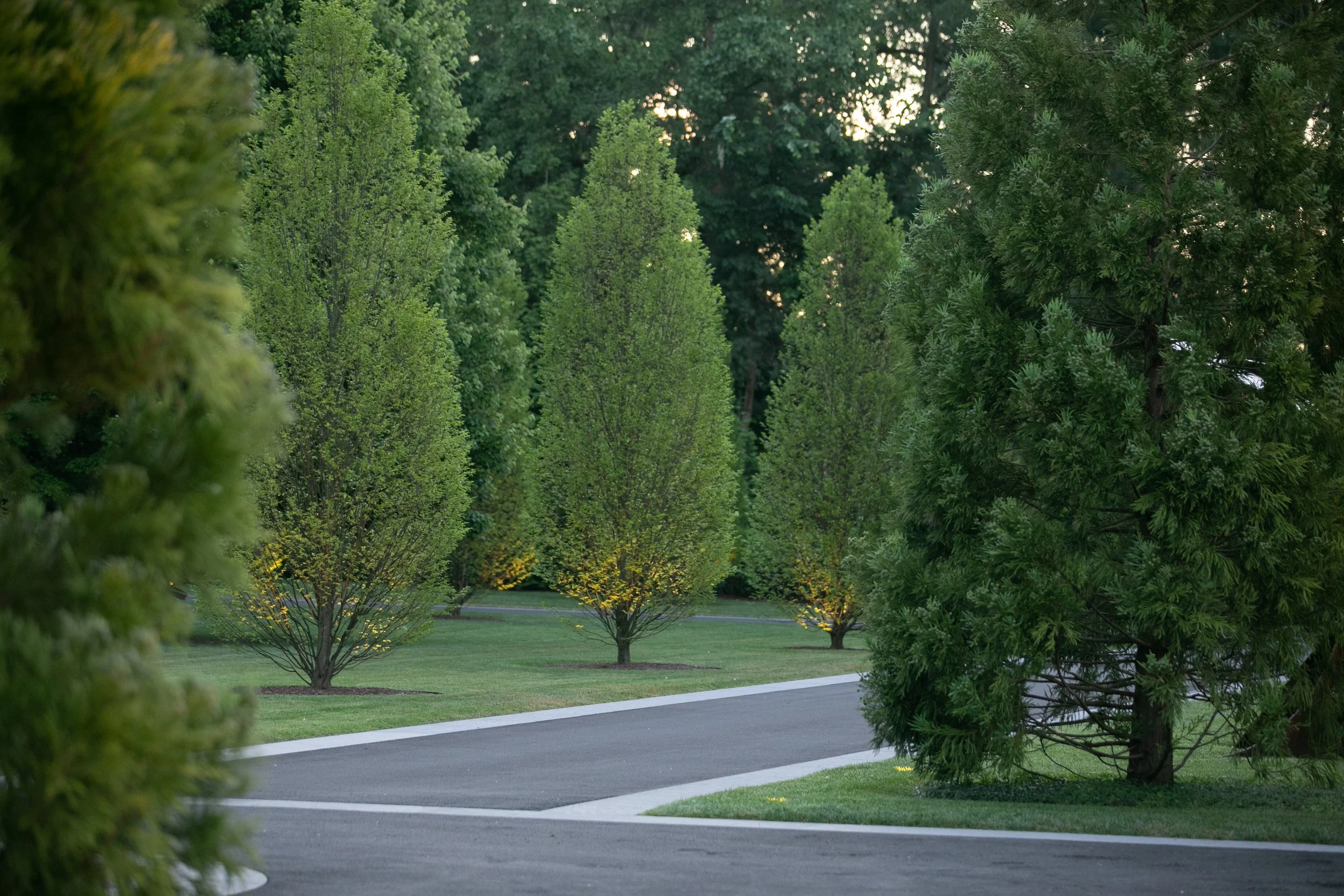 Artemis Landscape Architects