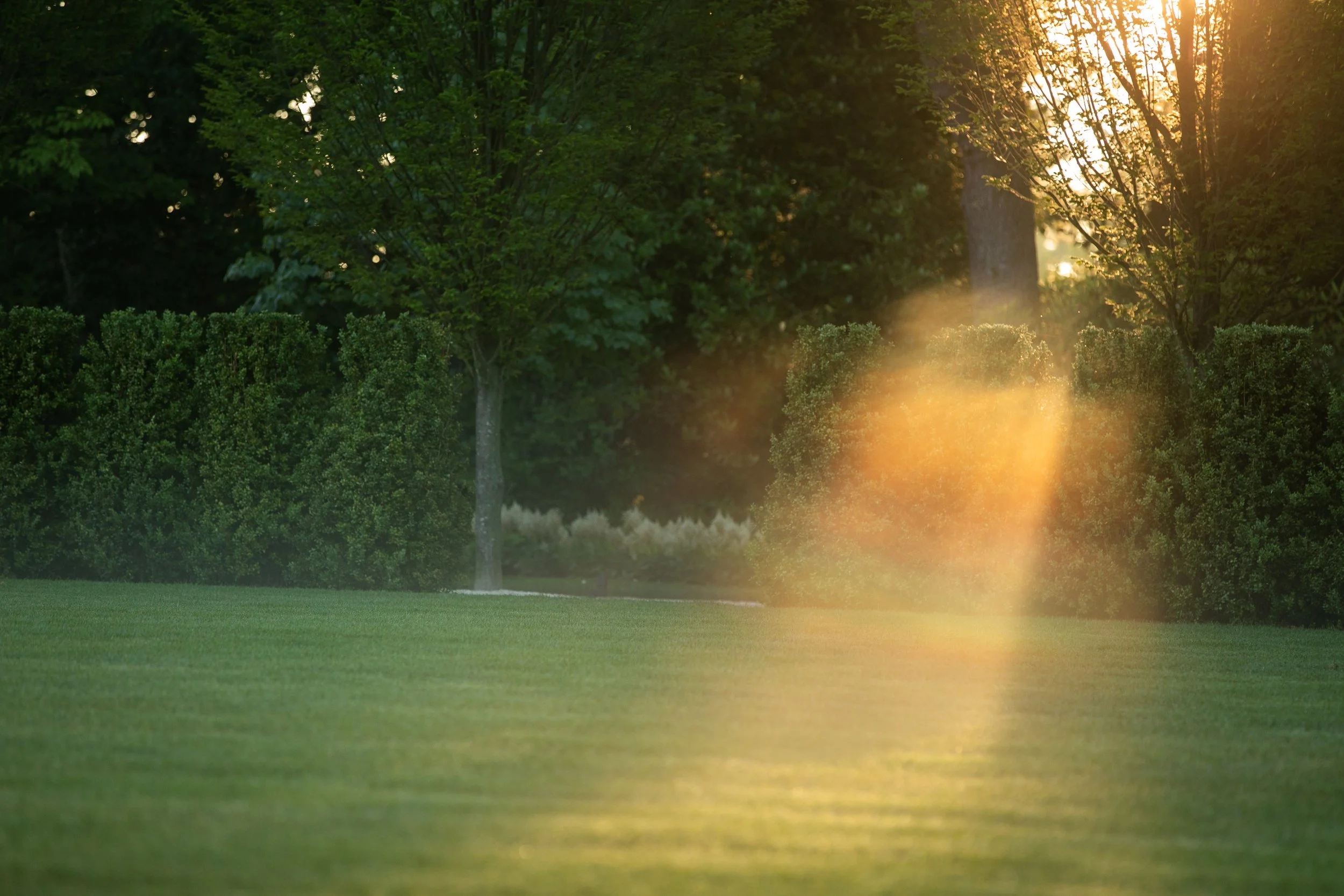 Artemis Landscape Architects