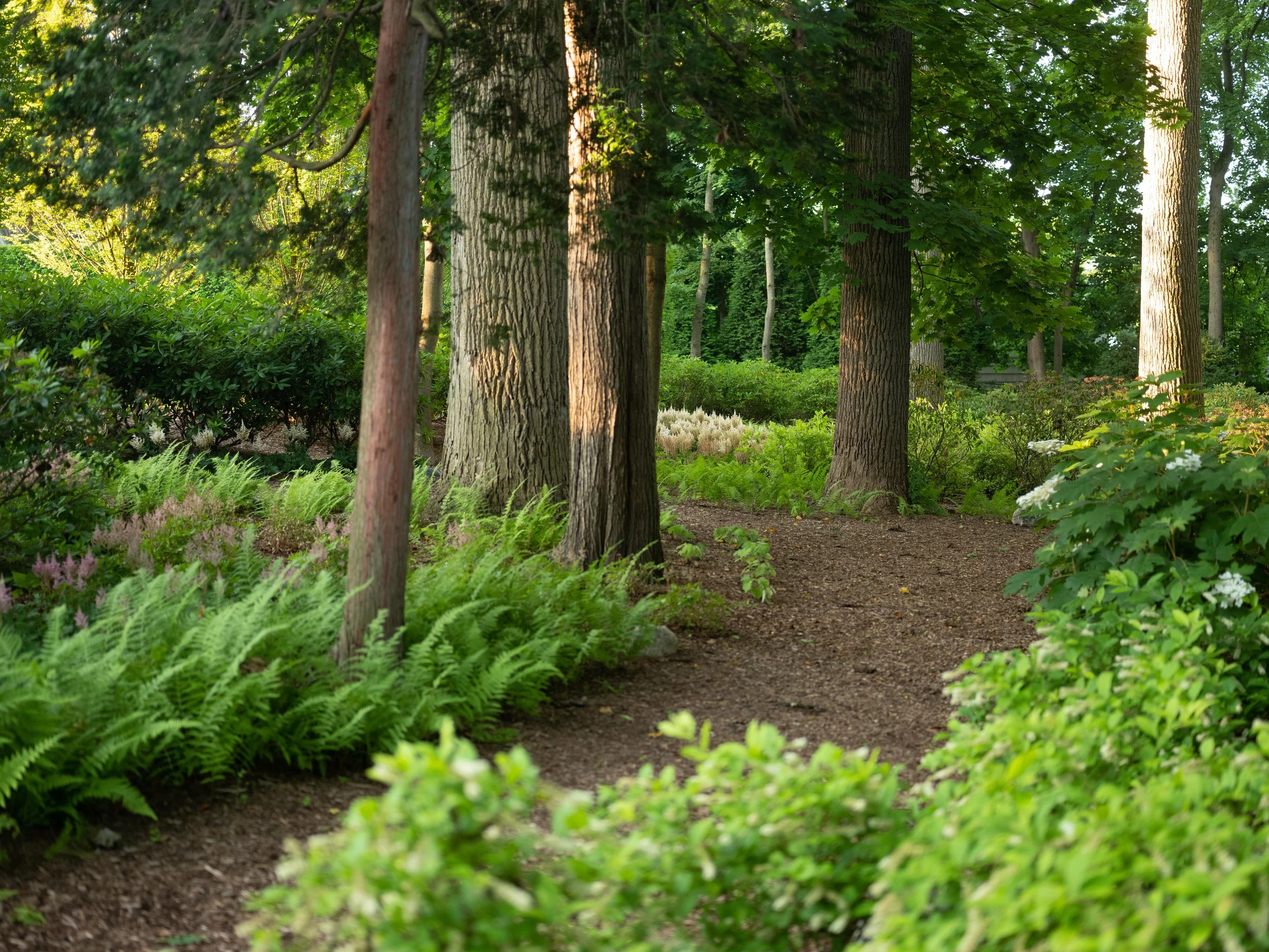 Artemis Landscape Architects