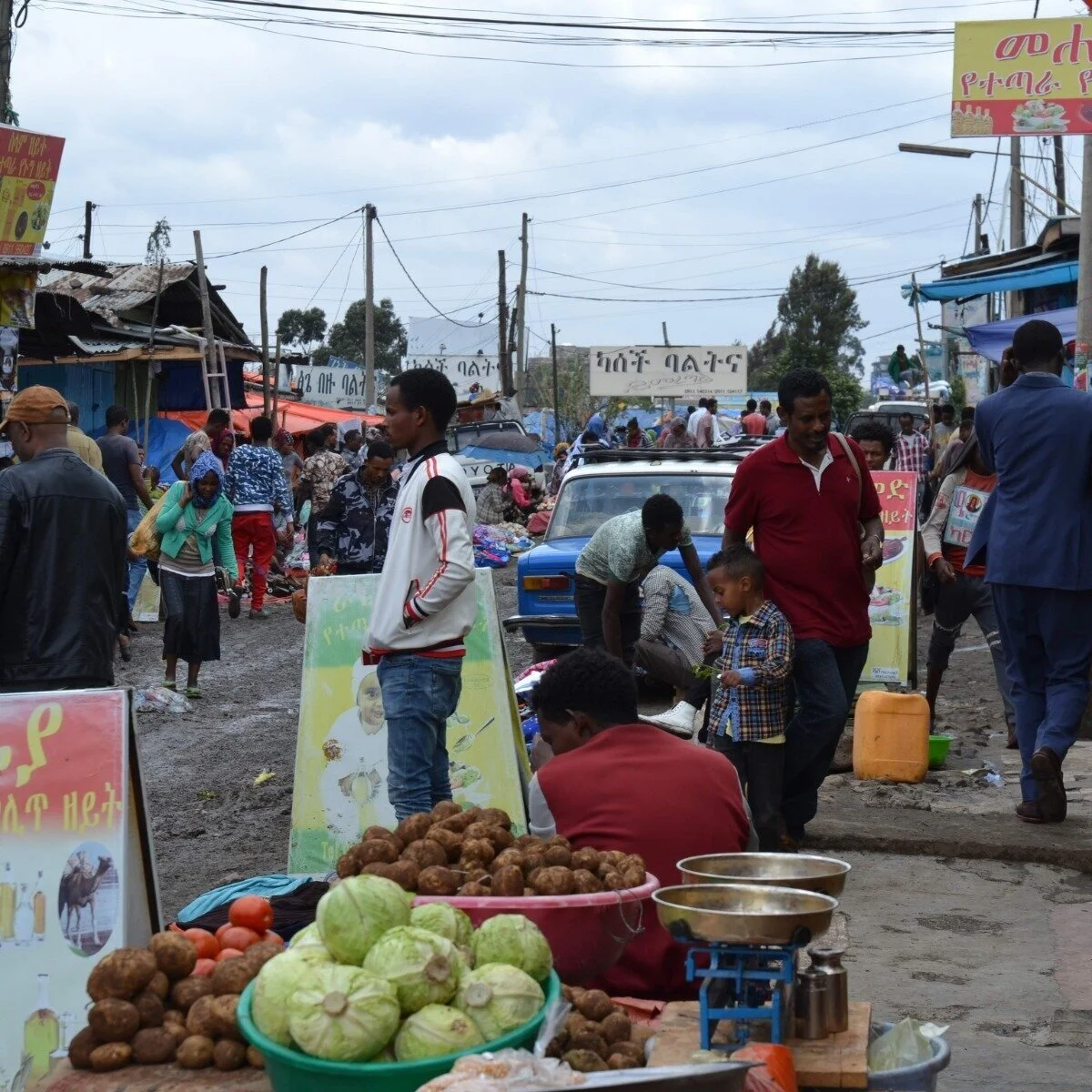 Ethiopia’s Productive Safety Net Programme — The Reach Alliance