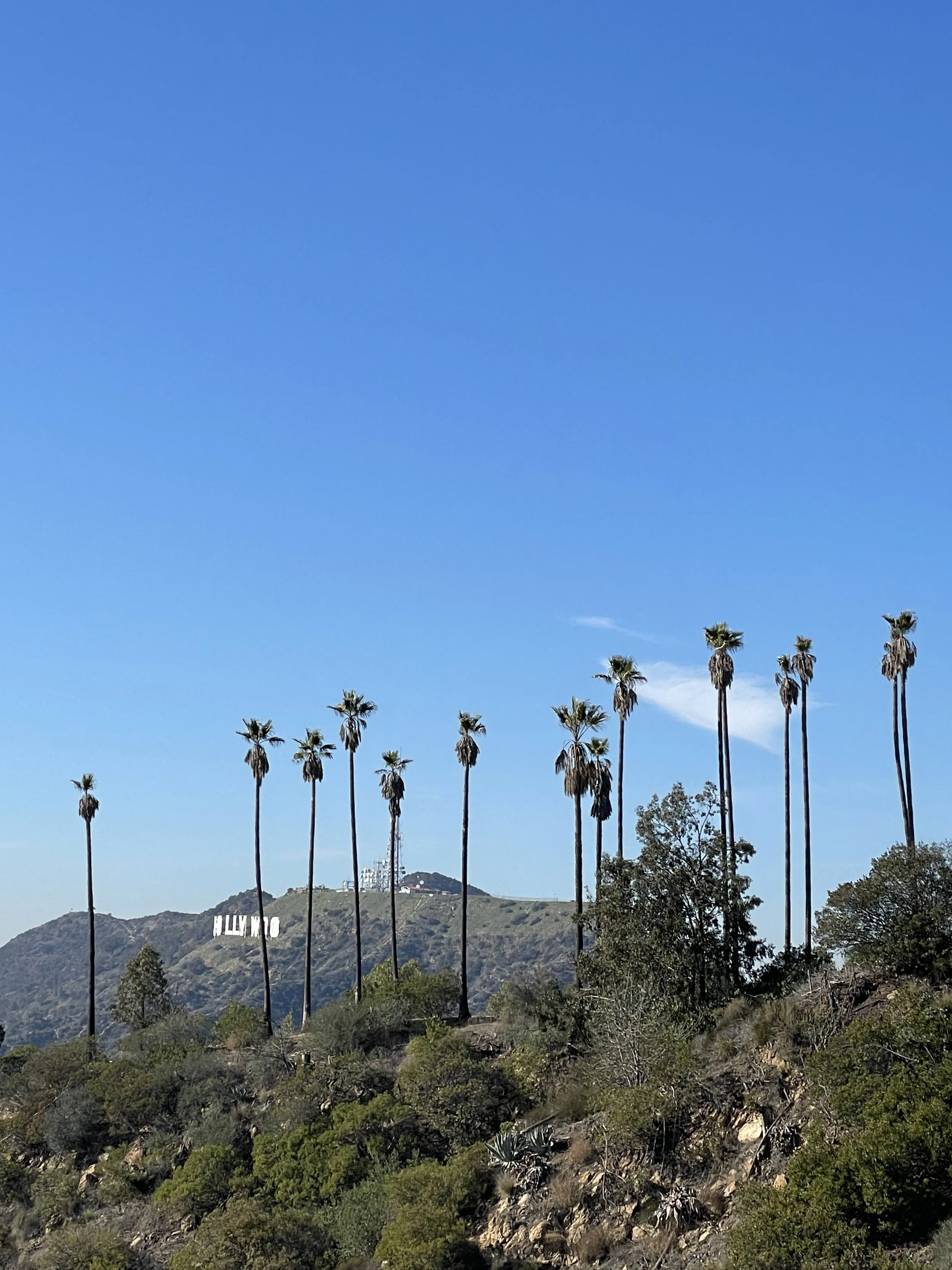 Welcome 2023!! — Tanja Djelevic