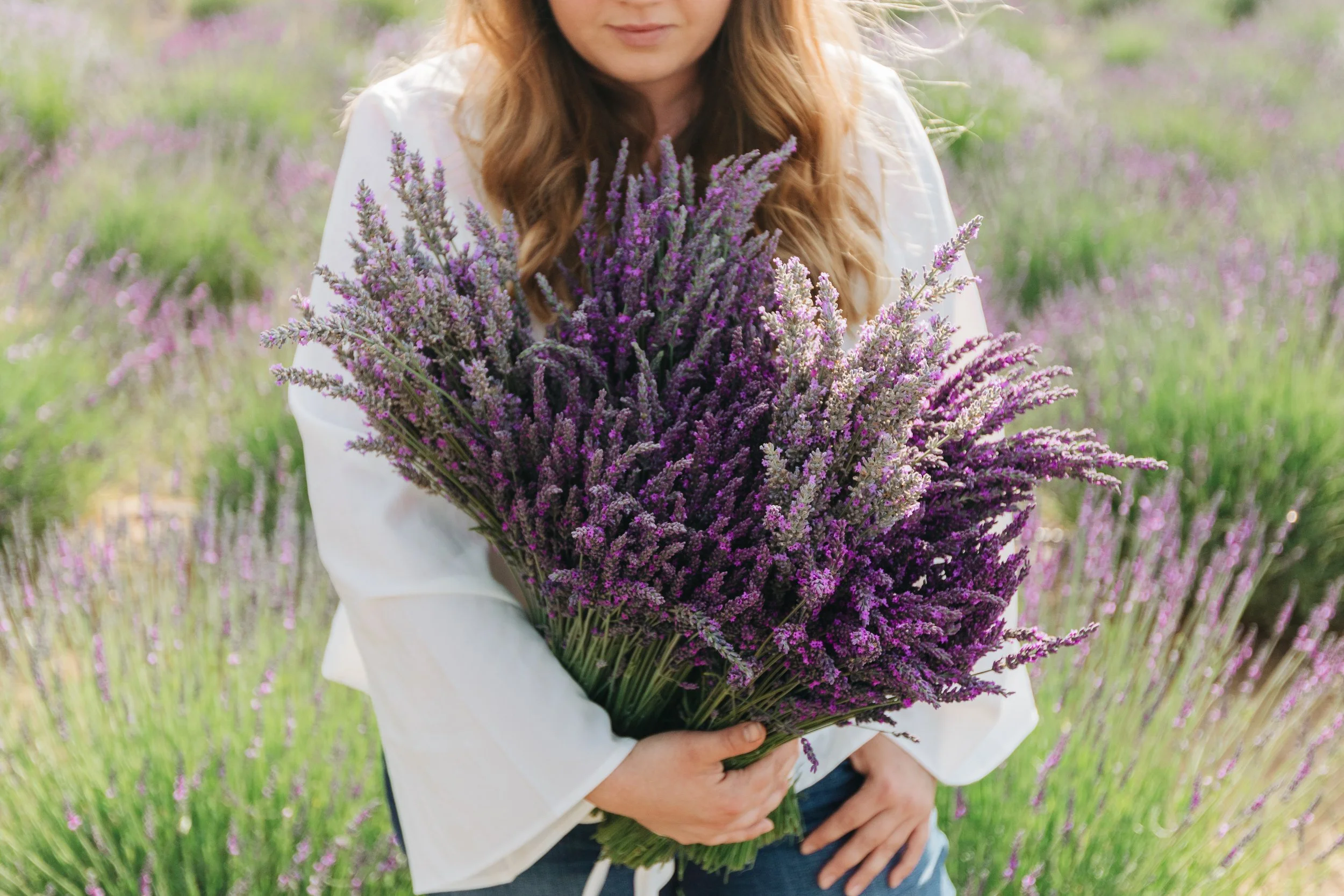 Fork & Plow Lavender Farm