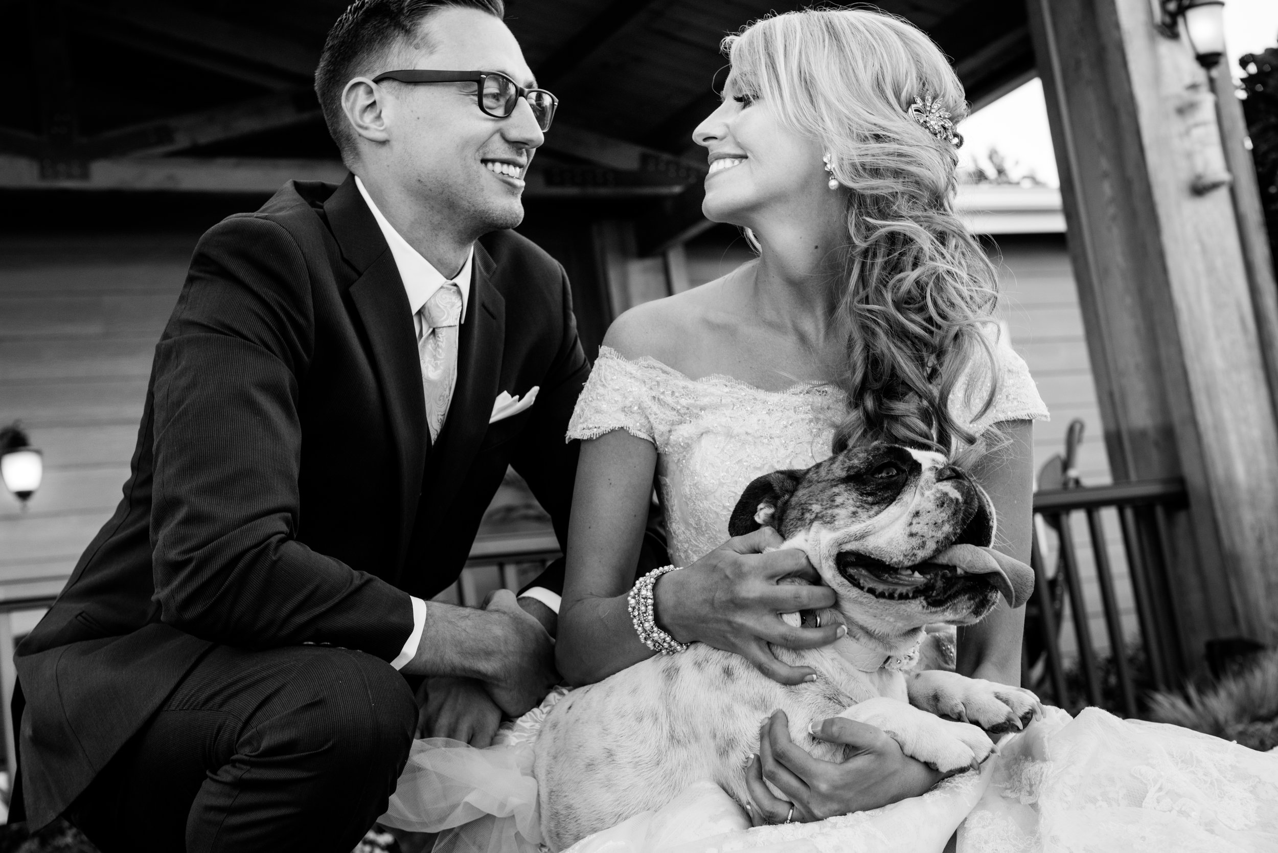 About — STEVE SCHWINDT