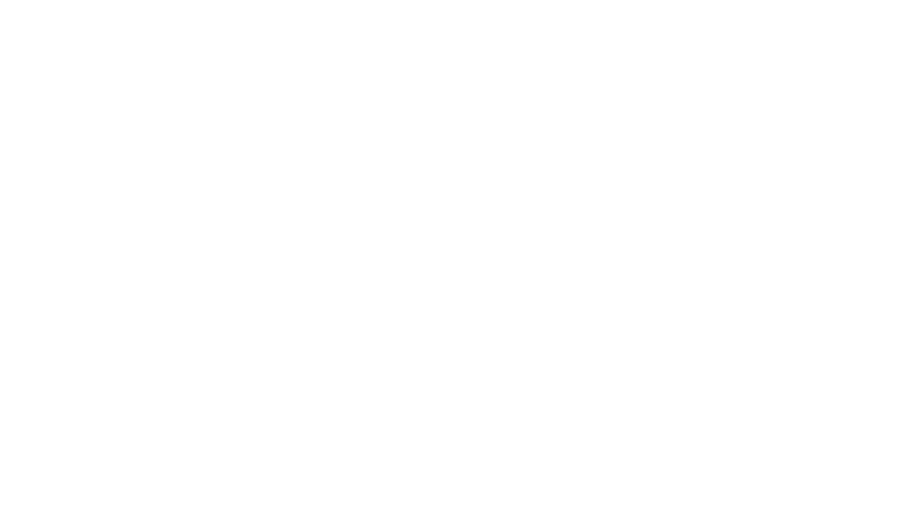 Sermo Logo