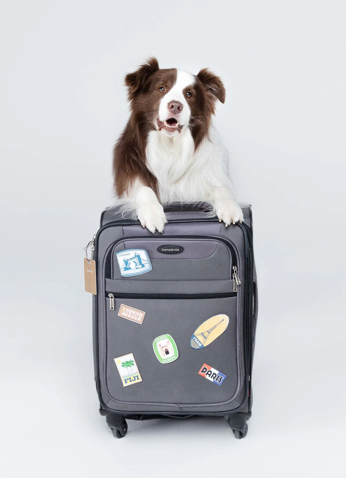 Commercial — PETER SHARP