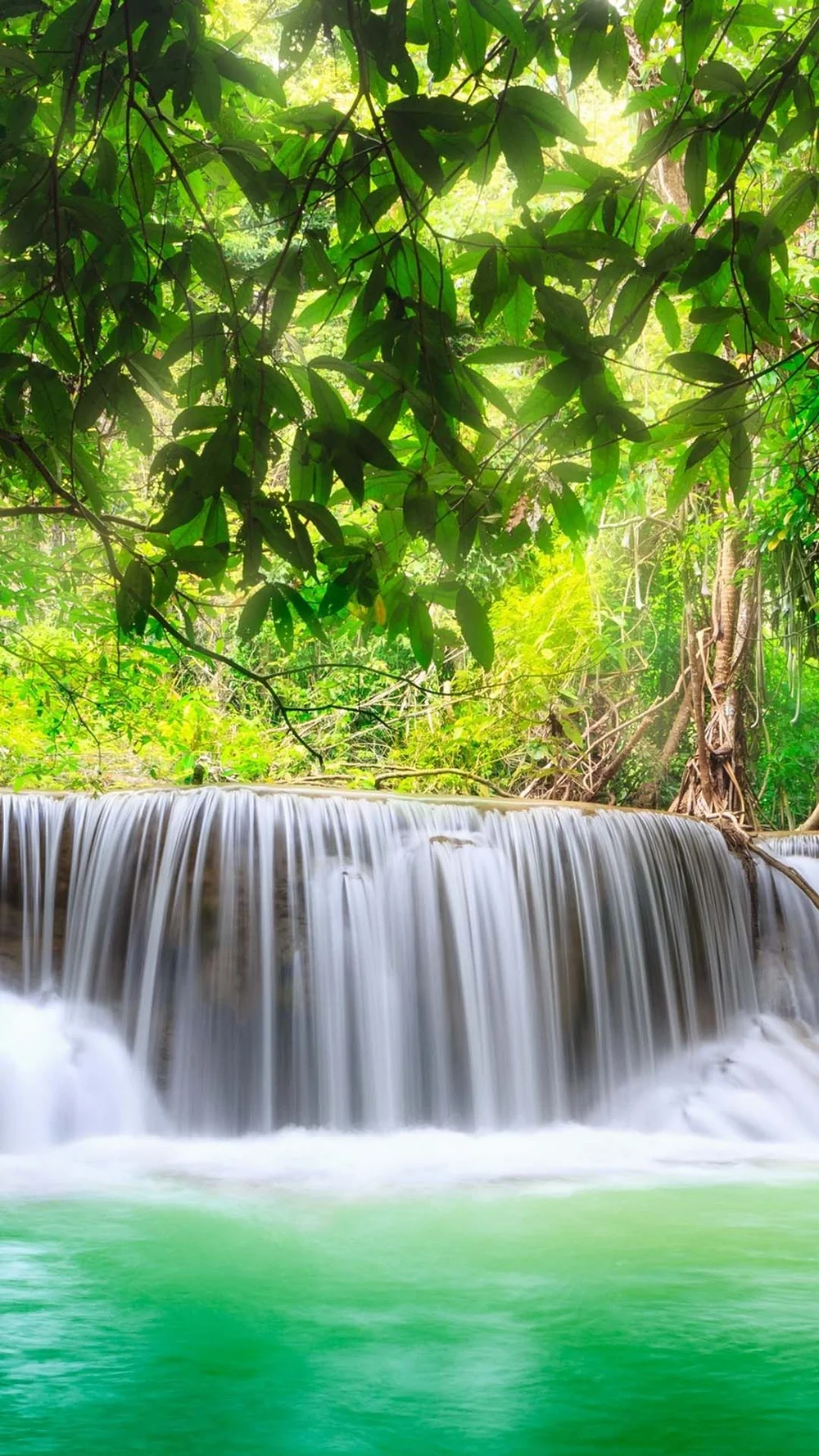 10000+ Wallpapers - HD Themes & Backgrounds for iPhone, iPad and Apple ...