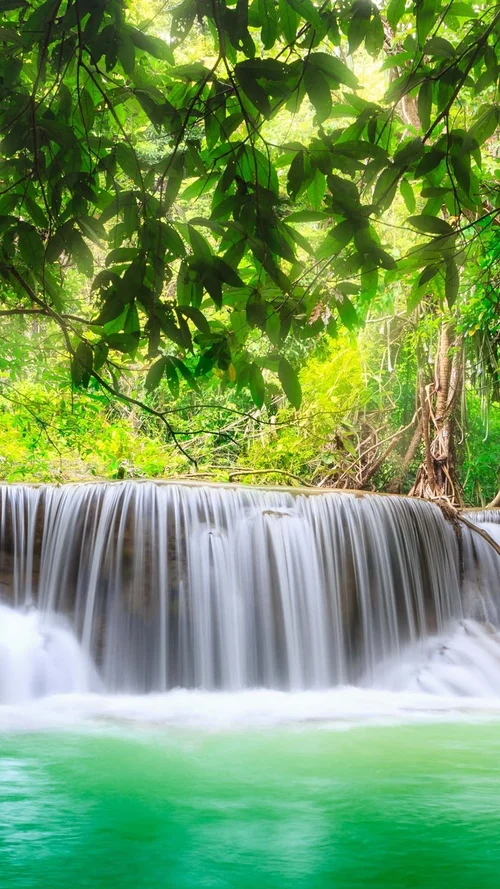 10000+ Wallpapers - HD Themes & Backgrounds for iPhone, iPad and Apple ...