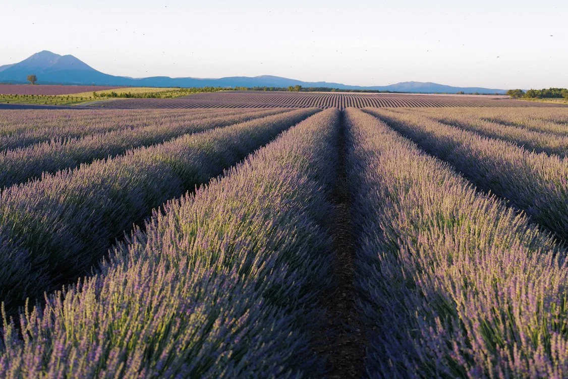 Provence - meine zehn Highlights - BeFifty