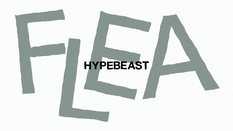 Flea Logo New Design Custom Logo Double Rows Cat Hair Pin Comb Dog Pet