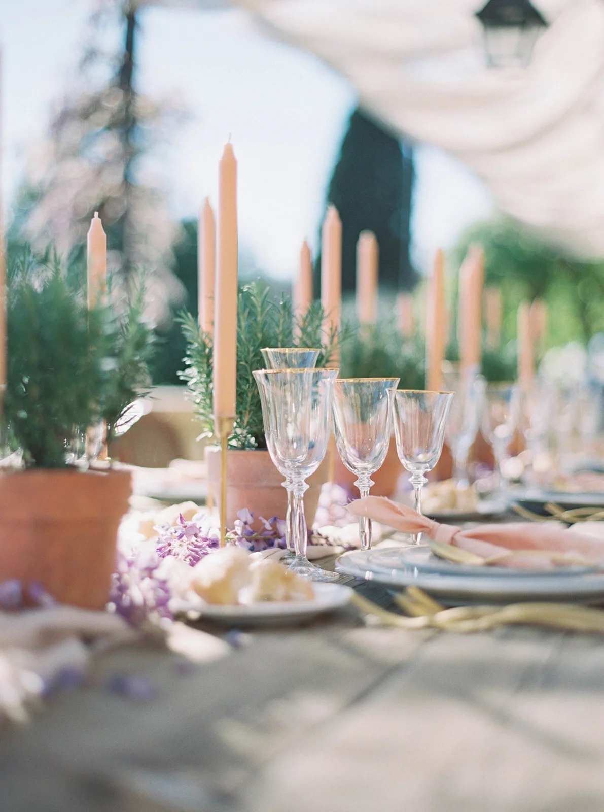 Abbie Tyler Photography