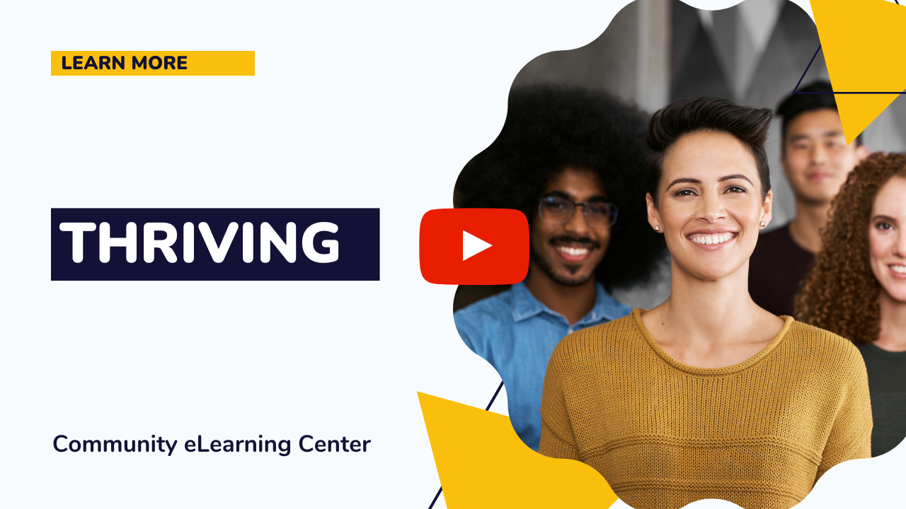 Thriving School — InsightFormation, Inc.